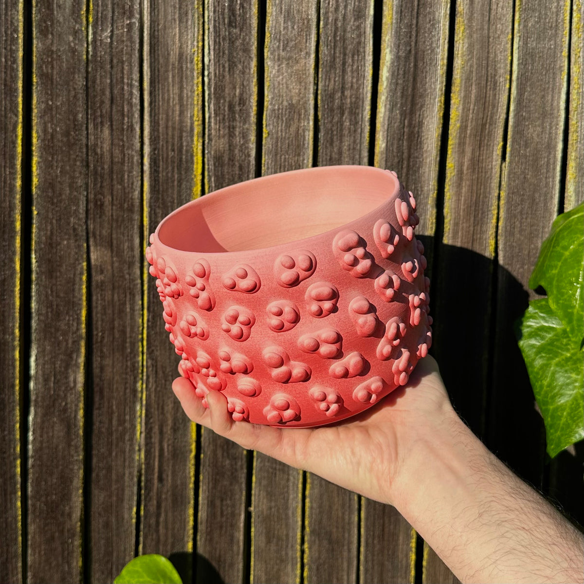 PINK OMBRE AMOEBA PLANTER